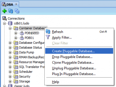 Oracle Database 12c: Enterprise Manager Database Express - DBA survival BLOG